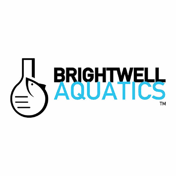 Brightwell Aquatics – Lush Corals