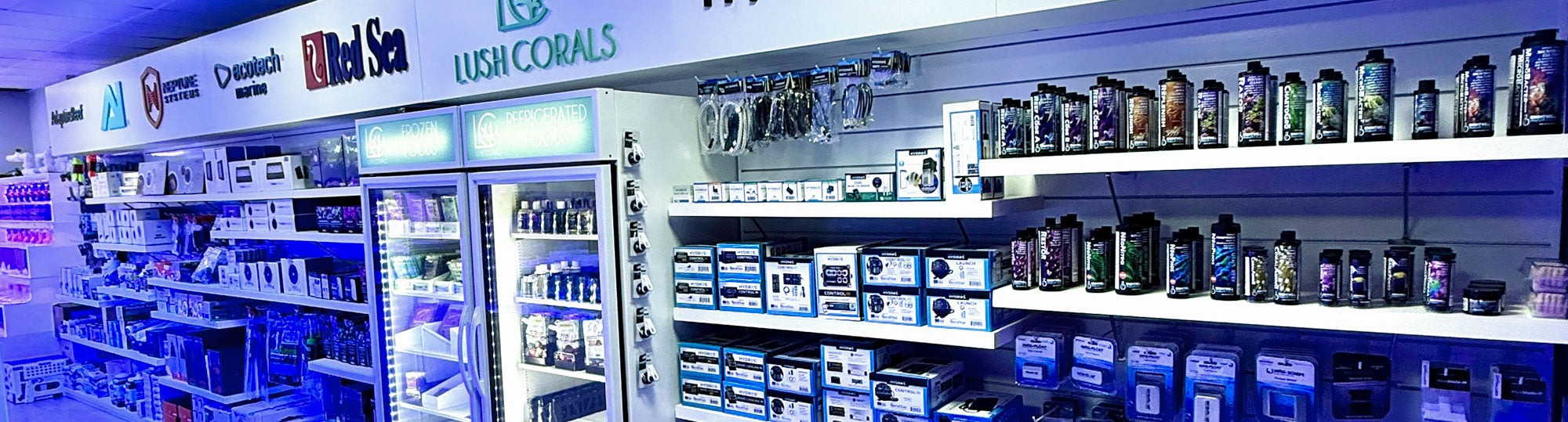 Aquarium Fish Store Near Me | Boynton & Palm Beach | Lush Corals