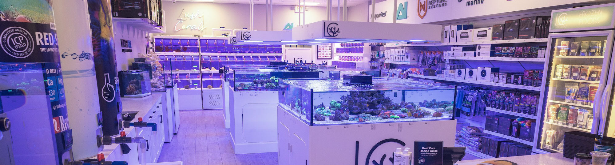 Aquarium Fish Store Near Me | Boynton & Palm Beach | Lush Corals